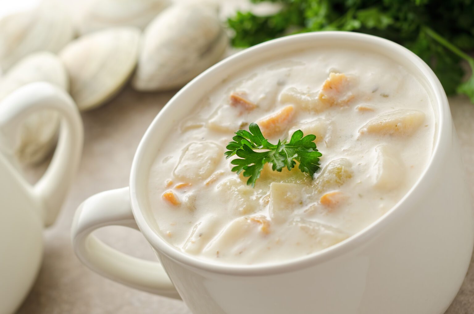 Free Chowder at Bell Harbor Marina - Seattle Boat Show